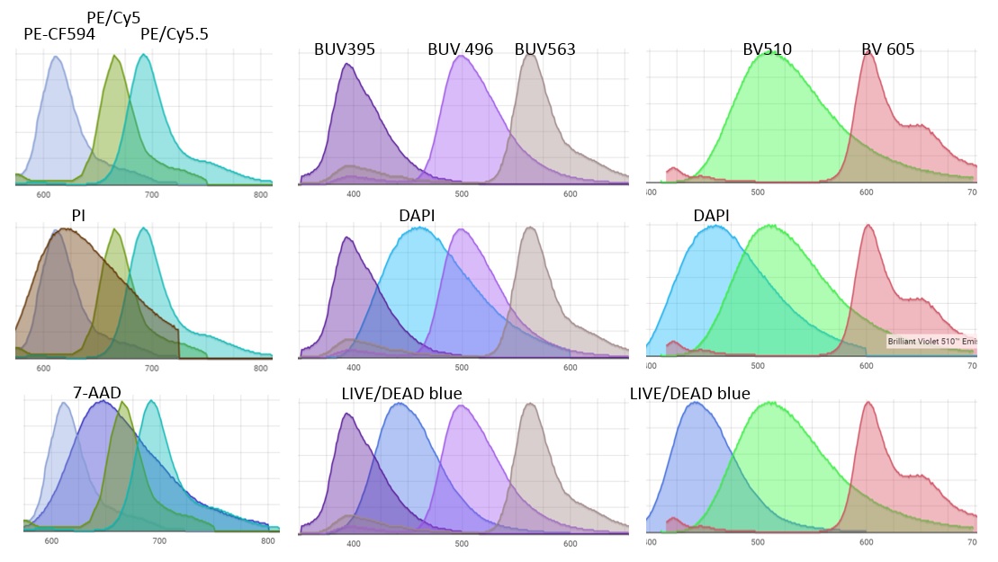 死細胞の除去が必要な理由・方法について