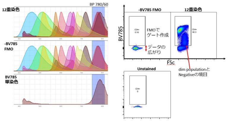 フローサイトメトリーのデータ解析